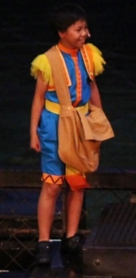 Pokke | One Piece Wiki | Fandom