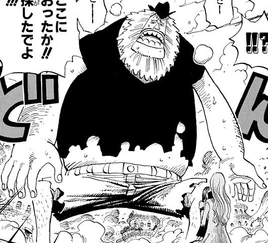 Jaguar D. Saul | One Piece Wiki | Fandom