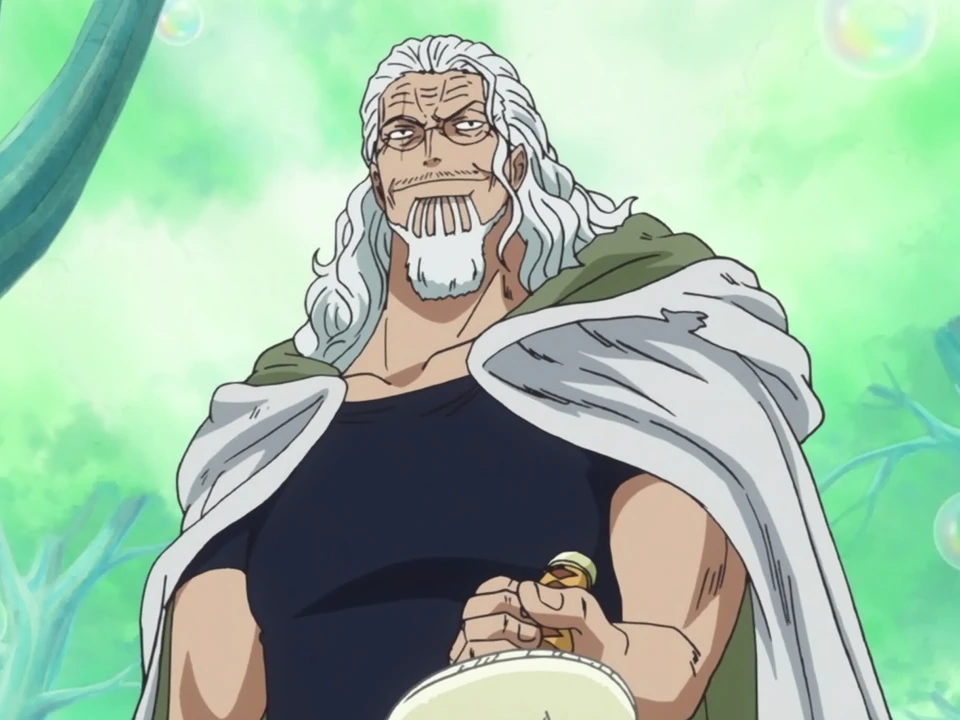 Silvers Rayleigh | OnePiecePedia | Fandom