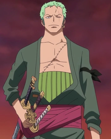Roronoa Zoro | Việt One Piece Wiki | Fandom