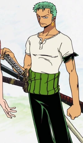 Roronoa Zoro/Personalidad y relaciones | One Piece Wiki | Fandom