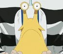 Den Den Mushi | One Piece Wiki | Fandom