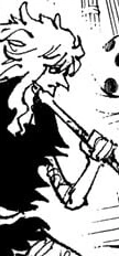 Yamon | One Piece Wiki | Fandom