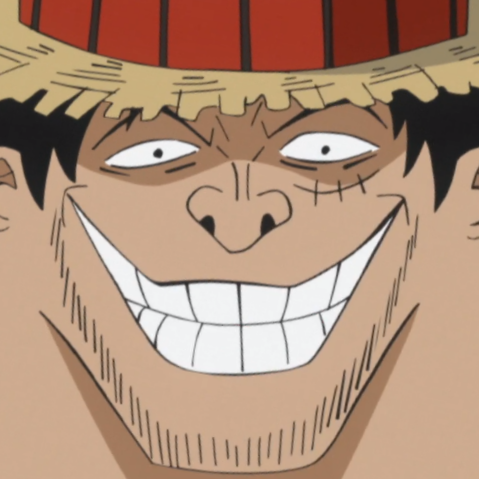 Falsos Piratas do Chapéu de Palha | One Piece Wiki | Fandom