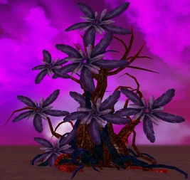 Great Tree | One Piece Wiki | Fandom