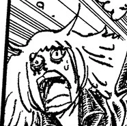 House | One Piece Wiki | Fandom