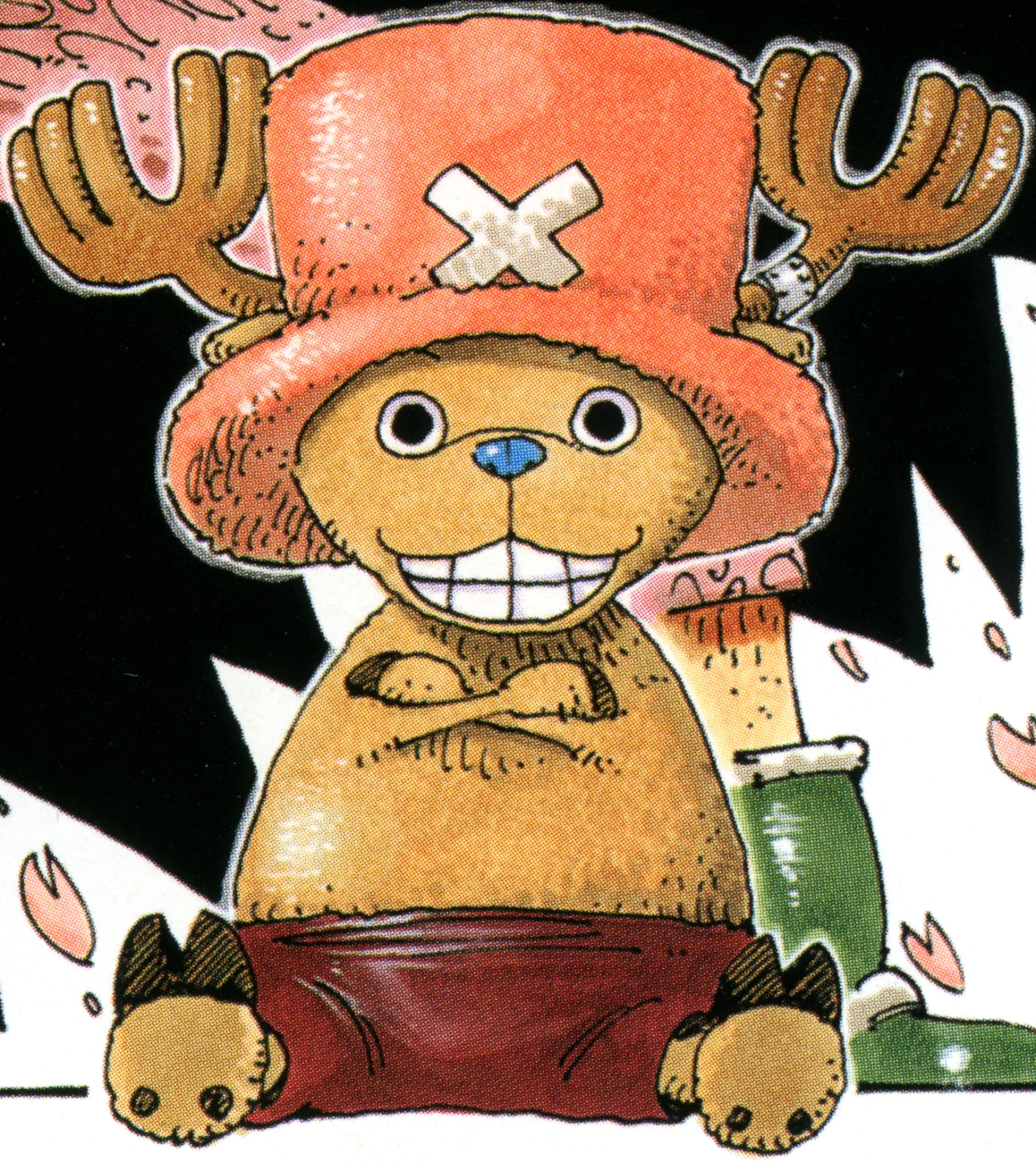 Tony Tony Chopper | One Piece Wiki | Fandom
