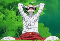 Post-War Arc | One Piece Wiki | Fandom