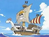 One Piece wiki | Fandom