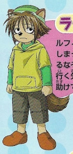 Raccoon (Non-Canon) | One Piece Wiki | Fandom