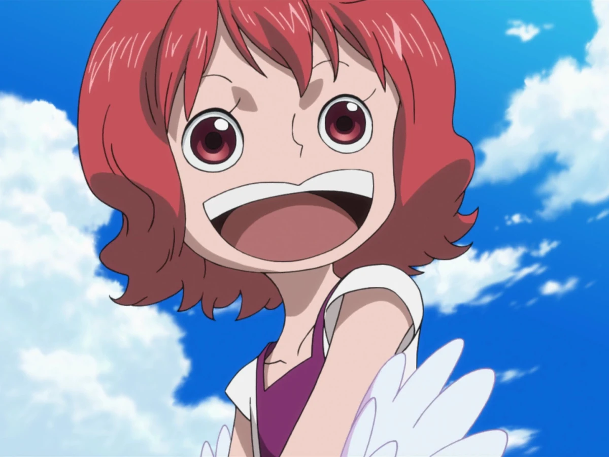 Syao | OnePiecePedia | Fandom