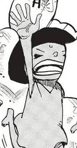 Ally | One Piece Wiki | Fandom