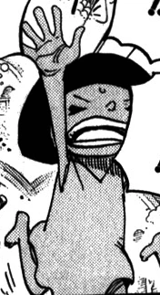 Ally | One Piece Wiki | Fandom