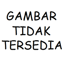 Birka | One Piece Wiki | Fandom