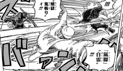 Kaku | One Piece Wiki Italia | Fandom