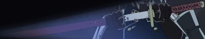 Shiryu | One Piece Wiki | Fandom