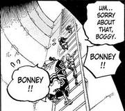 SBS Volume 107 | One Piece Wiki | Fandom