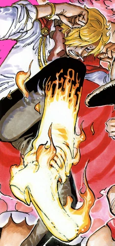 Black Leg Style/Diable Jambe | One Piece Wiki | Fandom