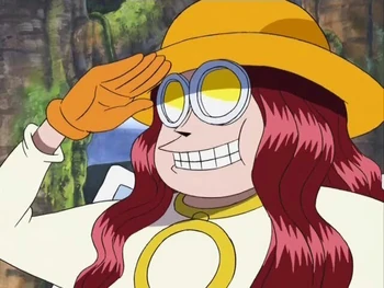 Satori | OnePiecePedia | Fandom
