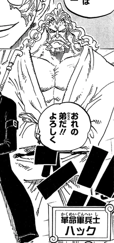 Hack | One Piece Wiki | Fandom