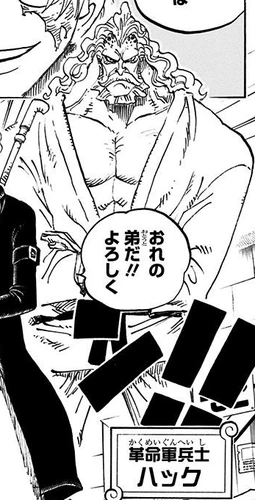 Hack | One Piece Wiki | Fandom