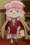 Conney | One Piece Wiki | Fandom