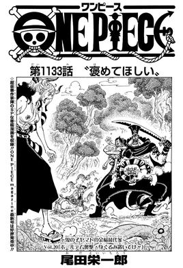 Chapter 1133 | One Piece Wiki | Fandom