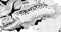 Underbite | One Piece Wiki | Fandom