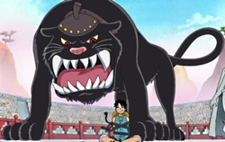 Bacura | Wikia One Piece | Fandom