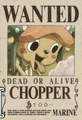 Tony Tony Chopper/Galería | One Piece Wiki | Fandom