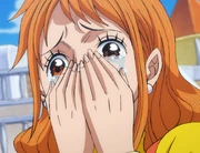 Nami/Personality and Relationships | One Piece Wiki | Fandom