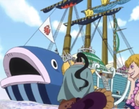 Snapper Head | One Piece Wiki | Fandom
