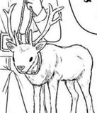 Chopper (One Piece in Love) | One Piece Wiki | Fandom