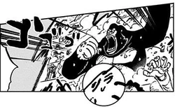 SBS Volume 79 | One Piece Wiki | Fandom