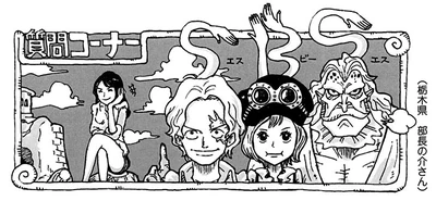 SBS Volume 101 | One Piece Wiki | Fandom