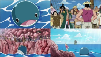 Episodio 379 | One Piece Wiki | Fandom