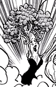 Lady Tree | One Piece Wiki | Fandom