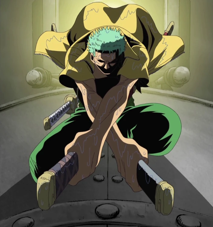 Santoryu/Nitoryu | One Piece Wiki | Fandom