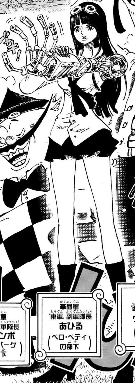 Ahiru | One Piece Wiki | Fandom