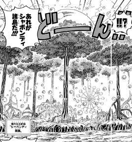 Archipel des Sabaody | One Piece Encyclopédie | Fandom