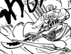 Choi | One Piece Wiki | Fandom