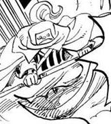 Choi | One Piece Wiki | Fandom