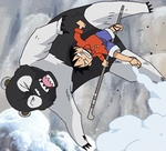 Animal Species/Summit War Saga | One Piece Wiki | Fandom