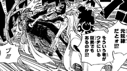 Fisher Tiger | One Piece Wiki Italia | Fandom