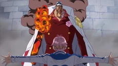 Sakazuki | One Piece Wiki | Fandom