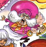 Streusen | One Piece Wiki | Fandom