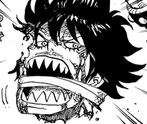 Rimoshifu Killingham | One Piece Wiki | Fandom