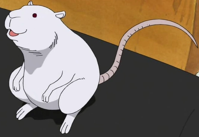 Tyrannosaurus | One Piece Wiki | Fandom