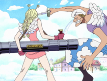 Conis | One Piece Wiki | Fandom