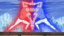 Technique Combinée | One Piece Encyclopédie | Fandom